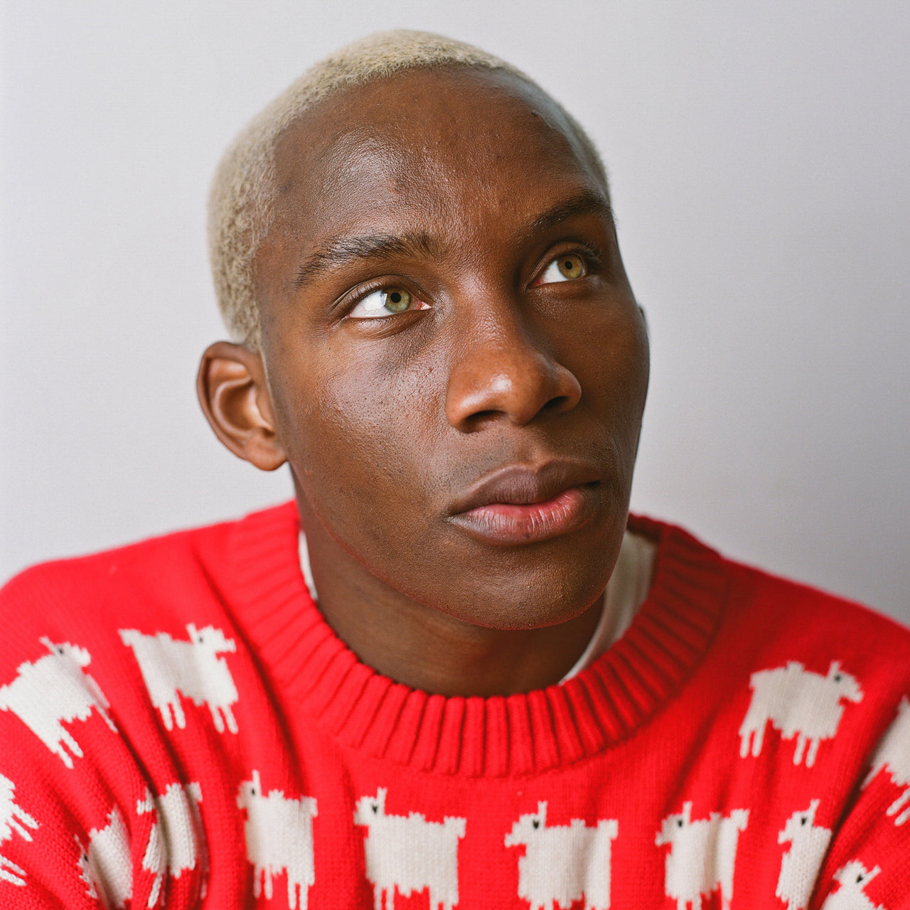 Warm & Wonderful Men's Wool "Diana Edition" Wool Sheep Sweater – Rowing ...