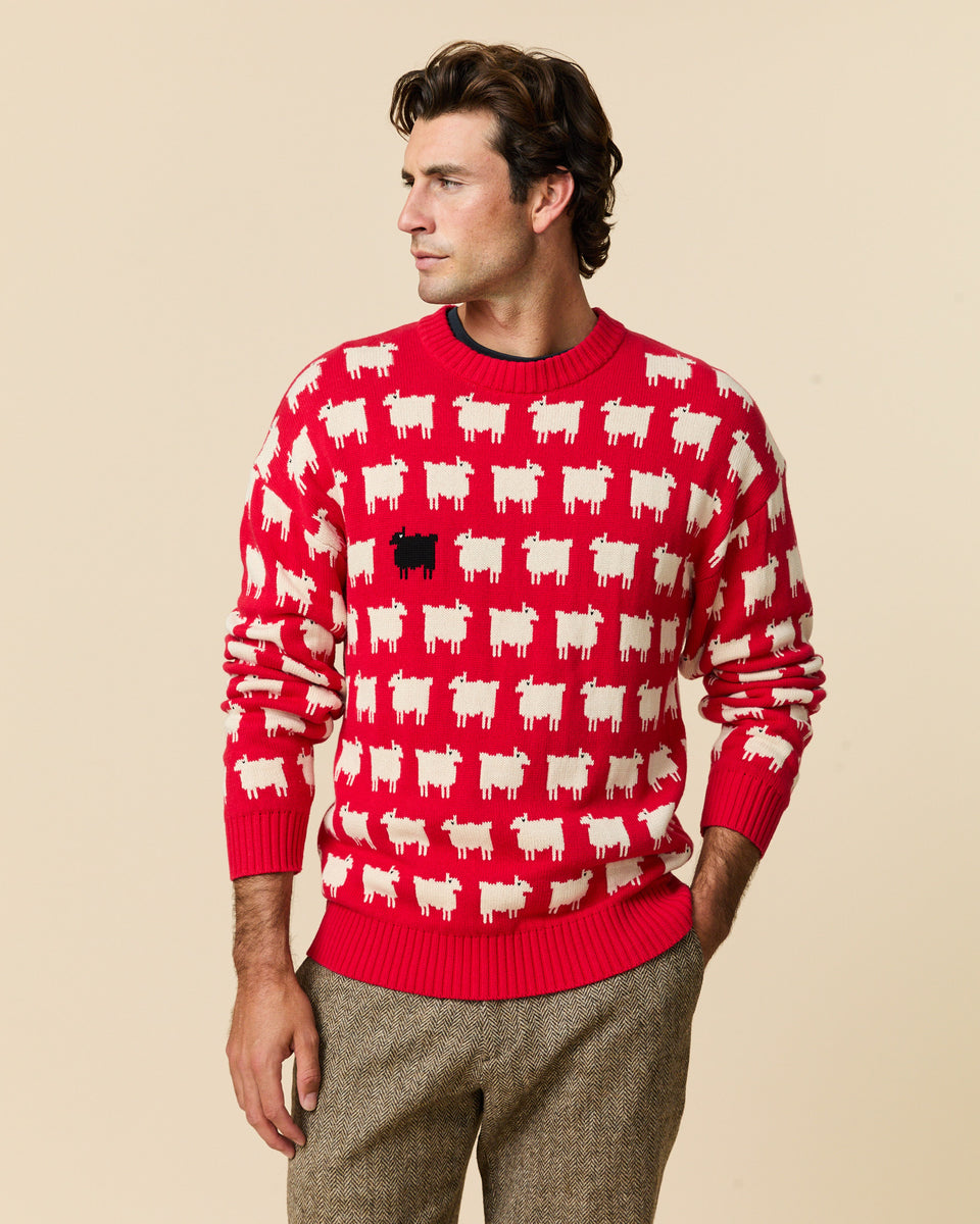 Men's "Diana Edition" Sheep Sweater in Cotton - Rowing Blazers