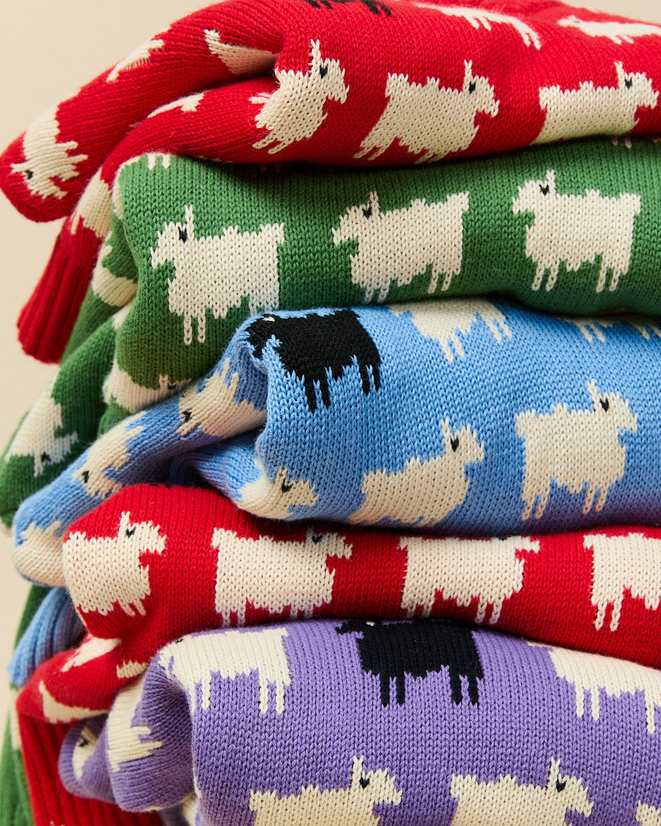 Men's "Diana Edition" Sheep Sweater in Cotton - Rowing Blazers