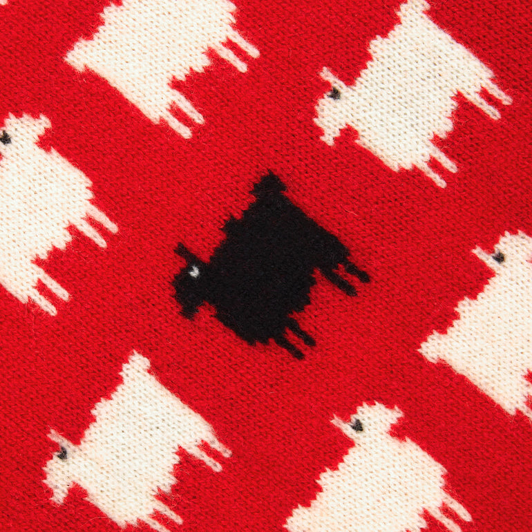 Women's Sweaters - Lambswool and Cotton Sweaters - Rowing Blazers