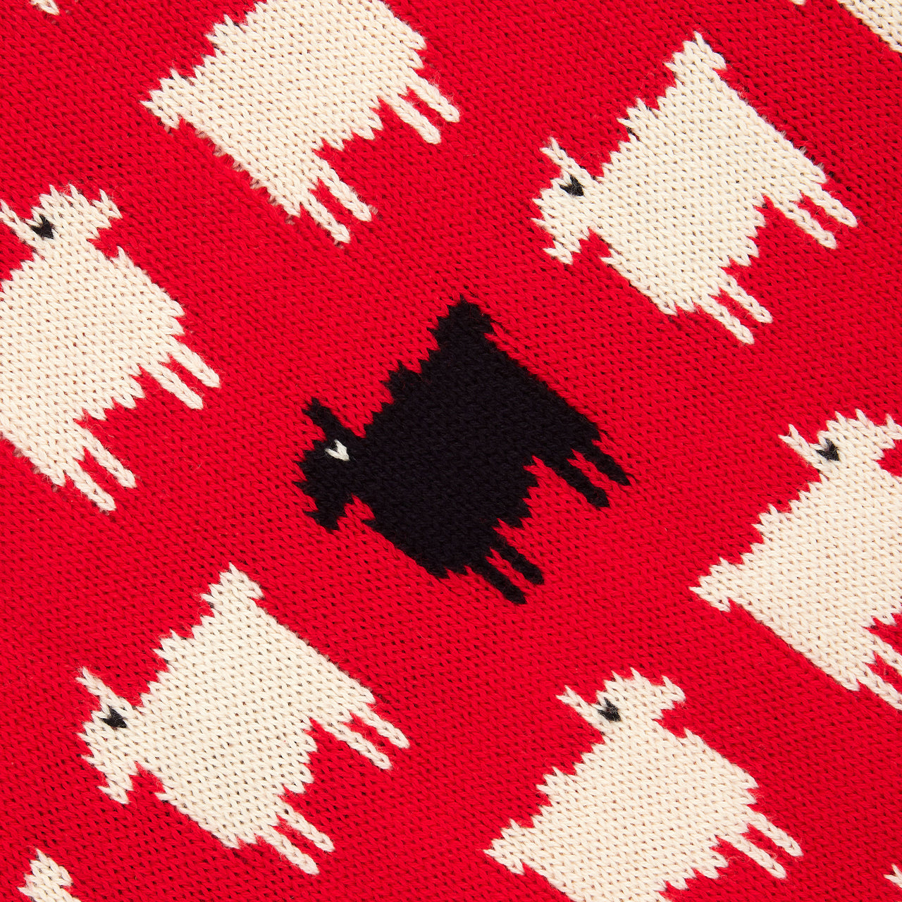 Women's "Diana Edition" Sheep Sweater in Cotton - Rowing Blazers